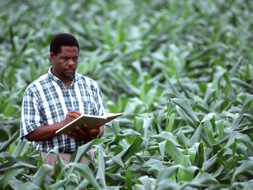 Home - Npower Farmers