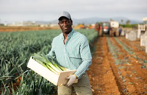 Embracing Innovation: How Technology is Revolutionizing Farming in ...