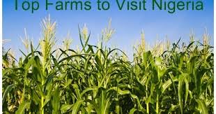 Majestic Farm Nigeria: Revolutionizing Agriculture with Innovation and ...