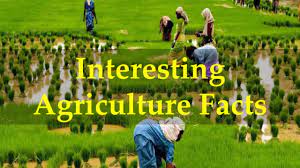 How to Farm Series: Fascinating Facts About Farming - Npower Farmers