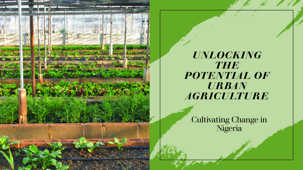 Unlocking the Potential of Urban Farming: A NPowerfarmers Guide for ...