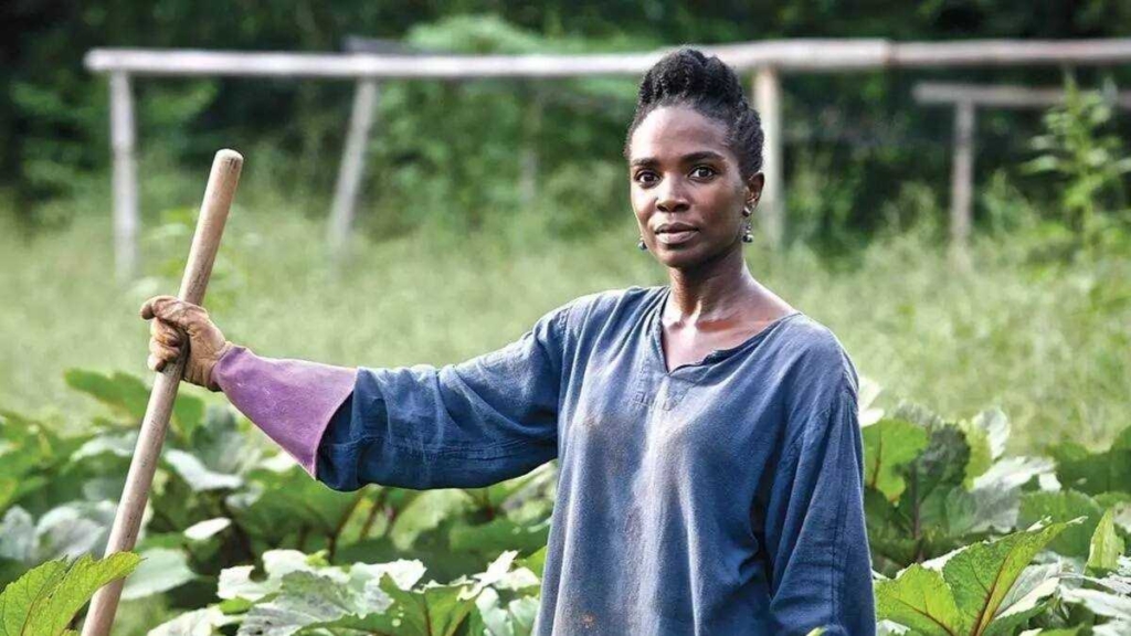 What Are the 5 Major Problems Faced by Farmers in Nigeria? – Npower Farmers