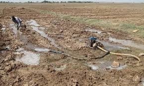 October Dry Season Farming: Tips for Success and Growth - Npower Farmers