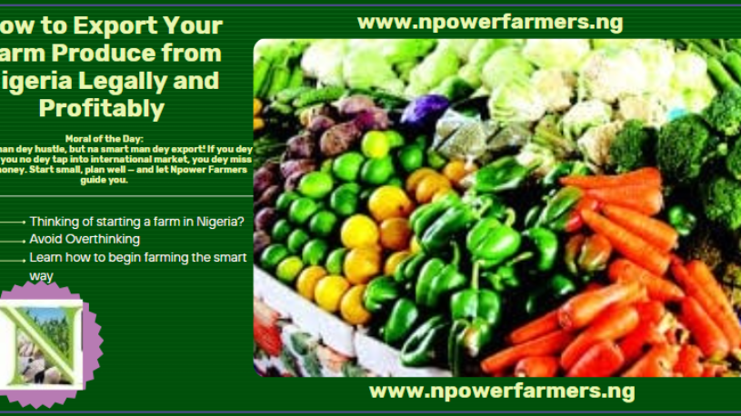How to Export Your Farm Produce from Nigeria Legally and Profitably ...