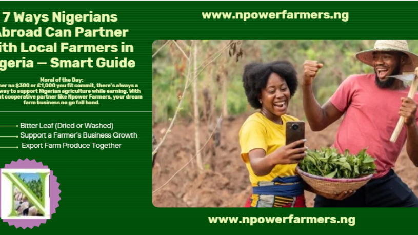 7 Ways Nigerians Abroad Can Partner With Local Farmers in Nigeria ...