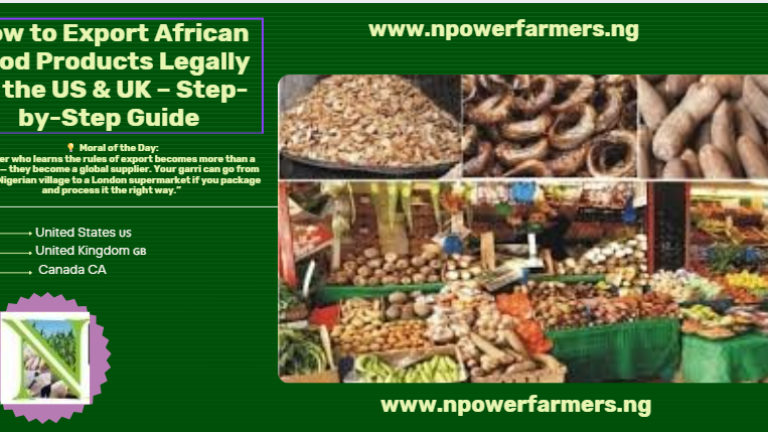 How to Export African Food Products Legally to the US & UK – Step-by ...