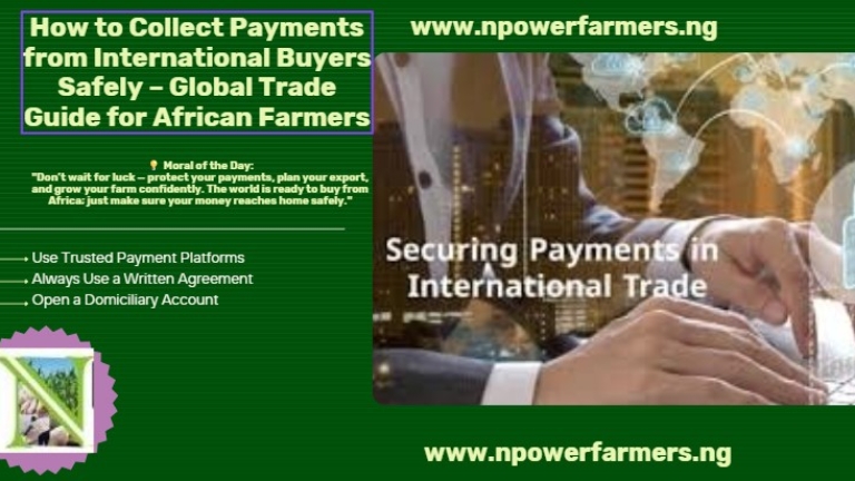 How to Collect Payments from International Buyers Safely – Global Trade ...